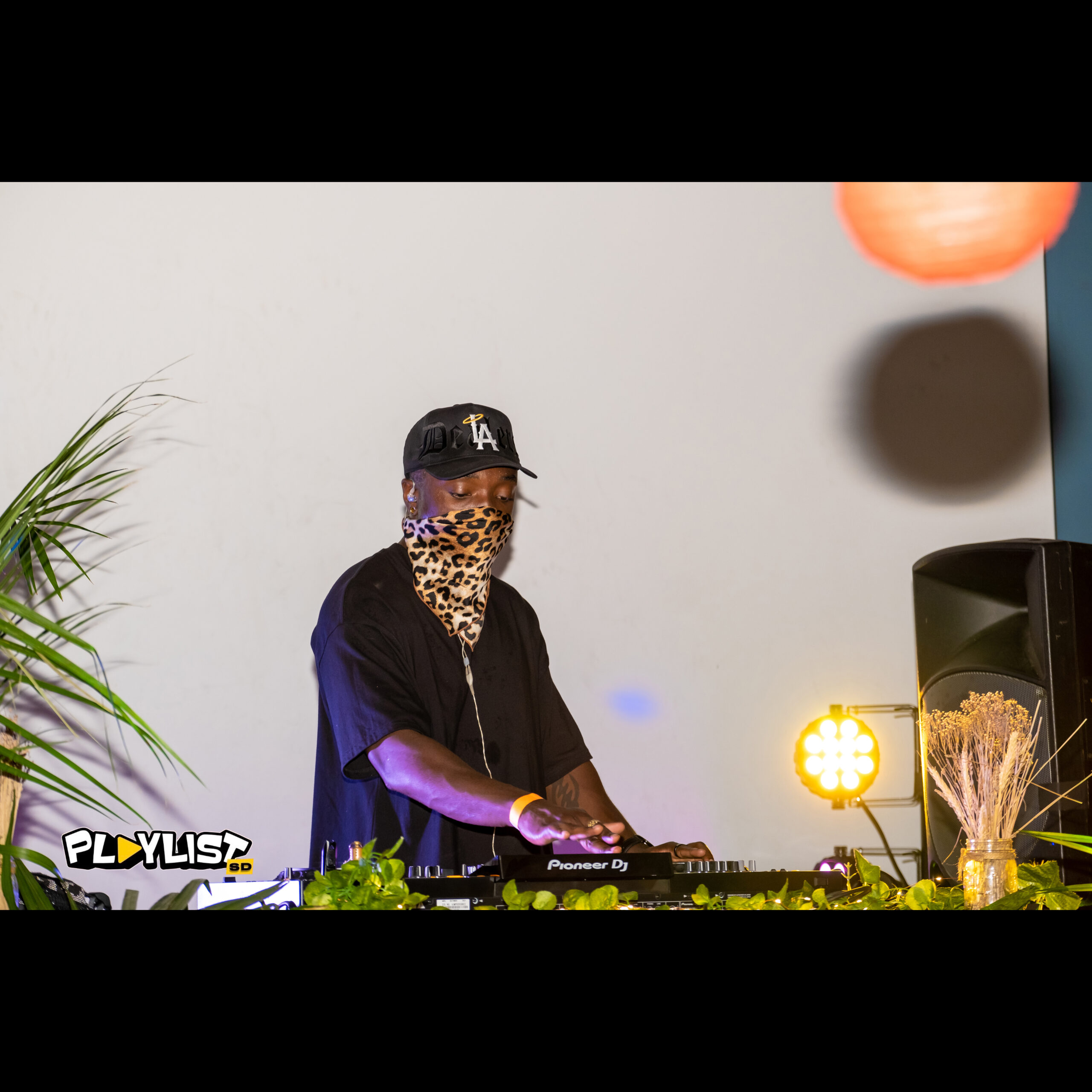 Home - Afropanda Entertainment